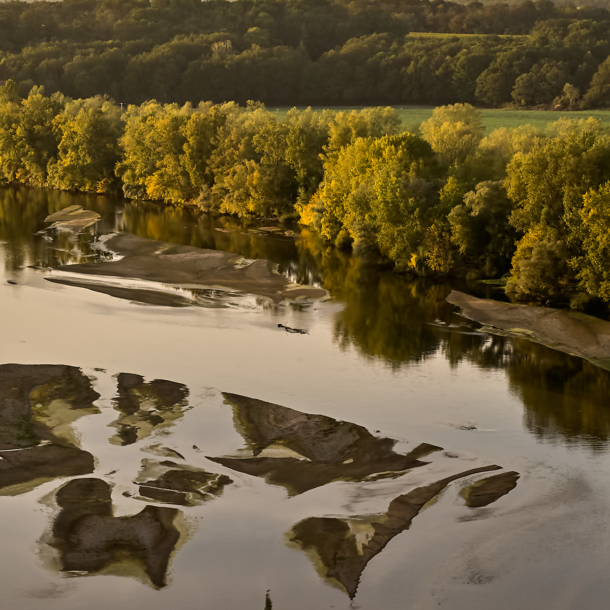 Handicap au travail - CDG 58